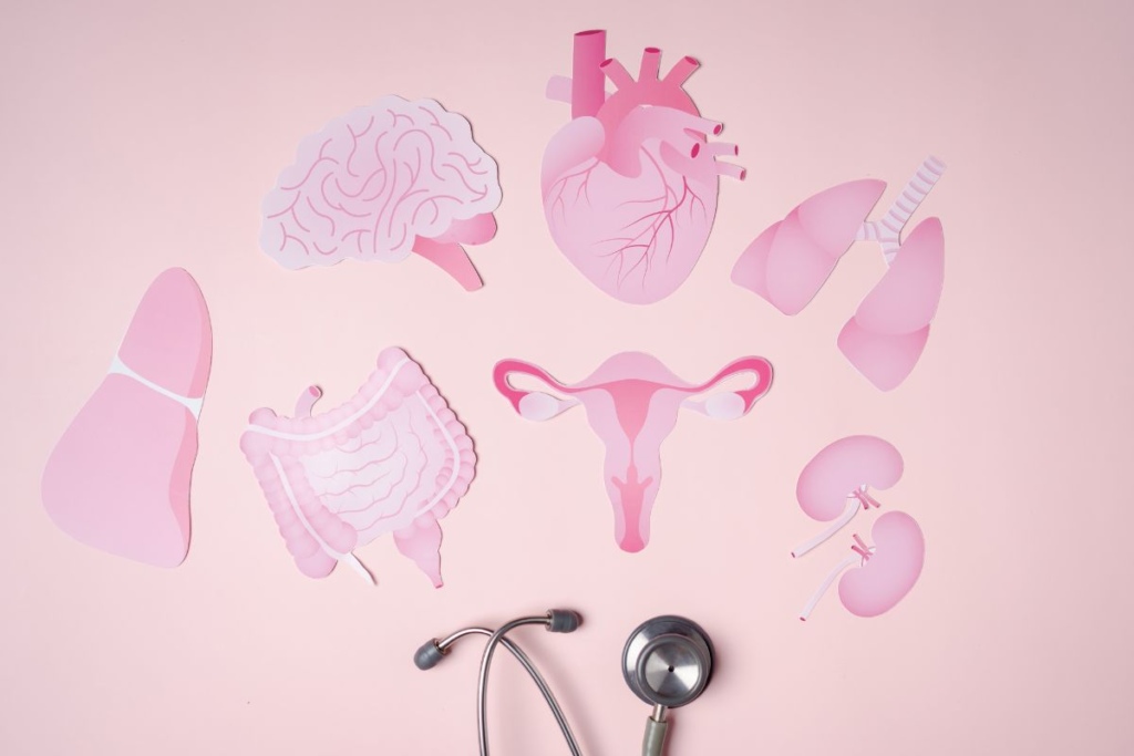 Ovulation Bleeding & Spotting – Is It Normal Mid Cycle? | Femtech Insider