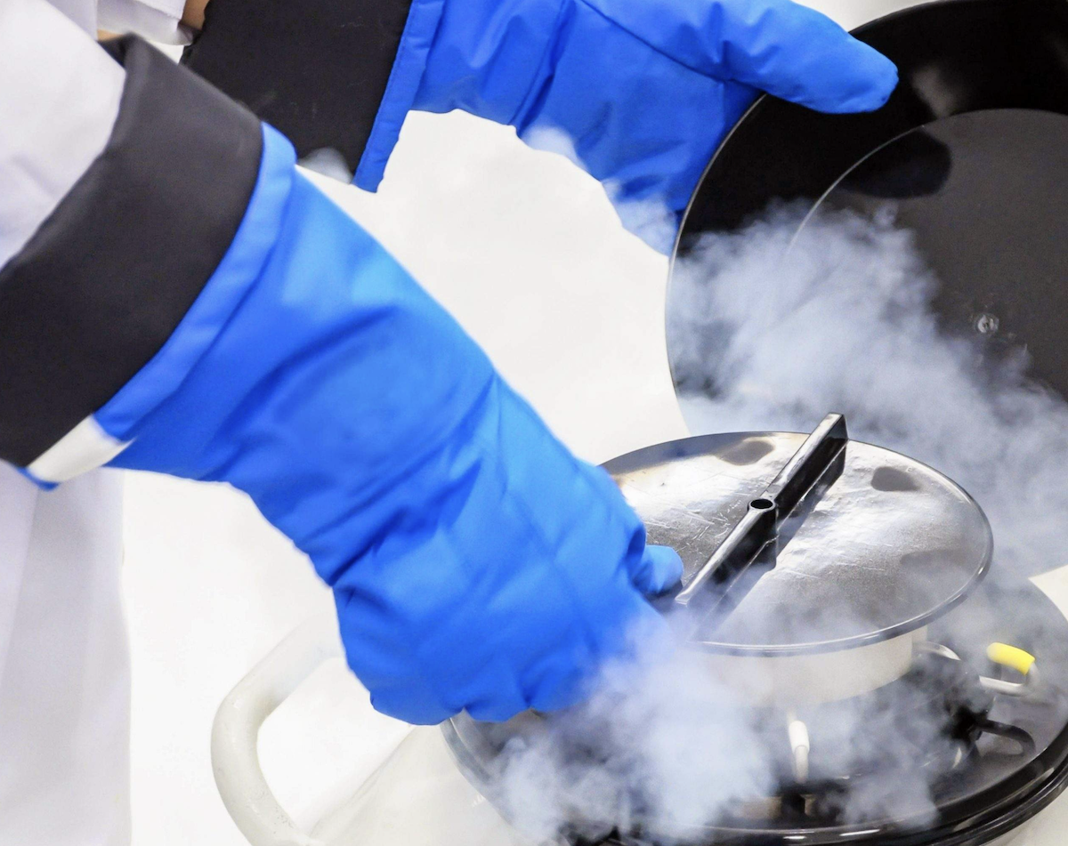 ReproTech Introduces Cryo-Logix to Streamline Cryostorage for IVF ...